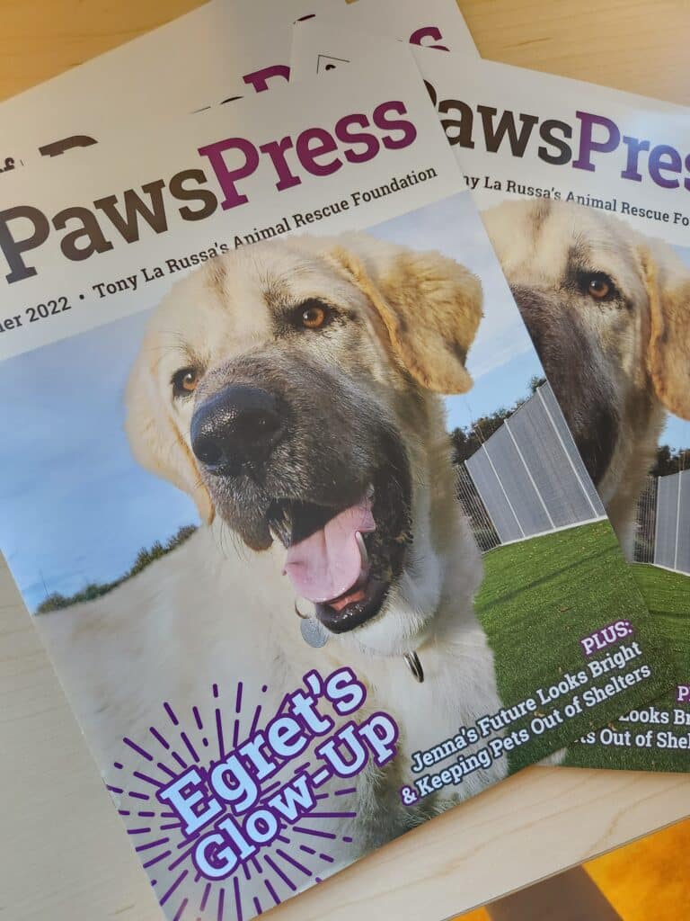 Paws Press Magazine — Summer 2022 - Joybound (formerly ARF)