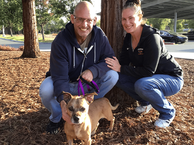 Recent Adoptions - Week of October 19 - Joybound (formerly ARF)