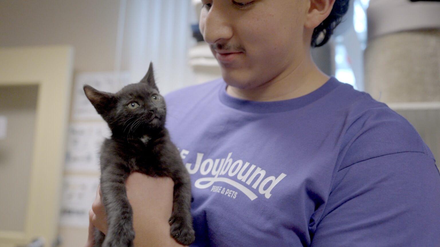 Meet the Team - Joybound (formerly ARF)