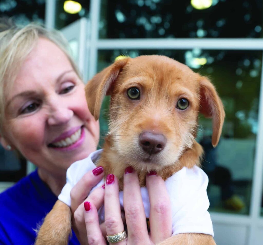 Joy Online - Summer 2024 - Joybound (formerly ARF)