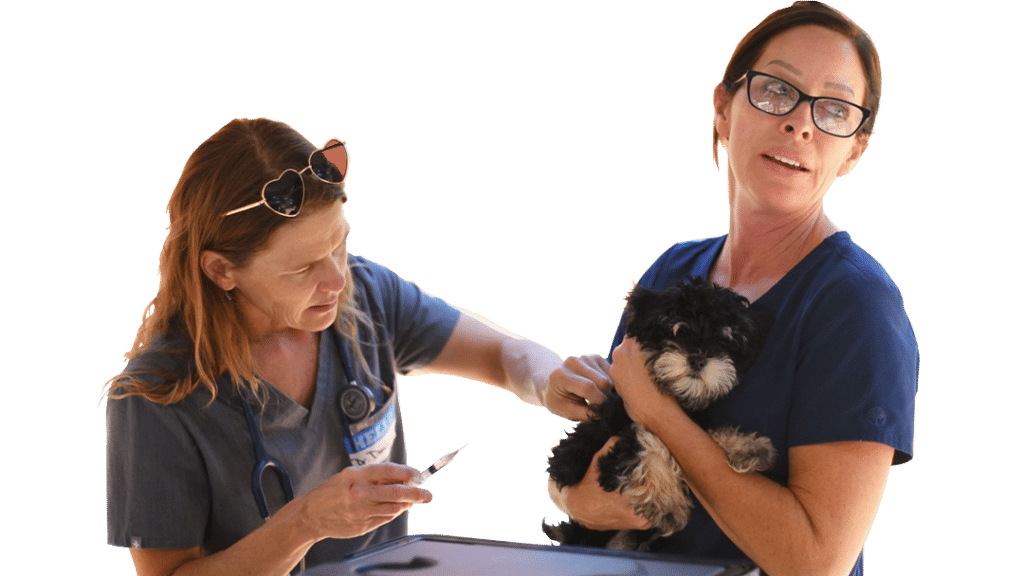 Programs - Joybound (formerly ARF)