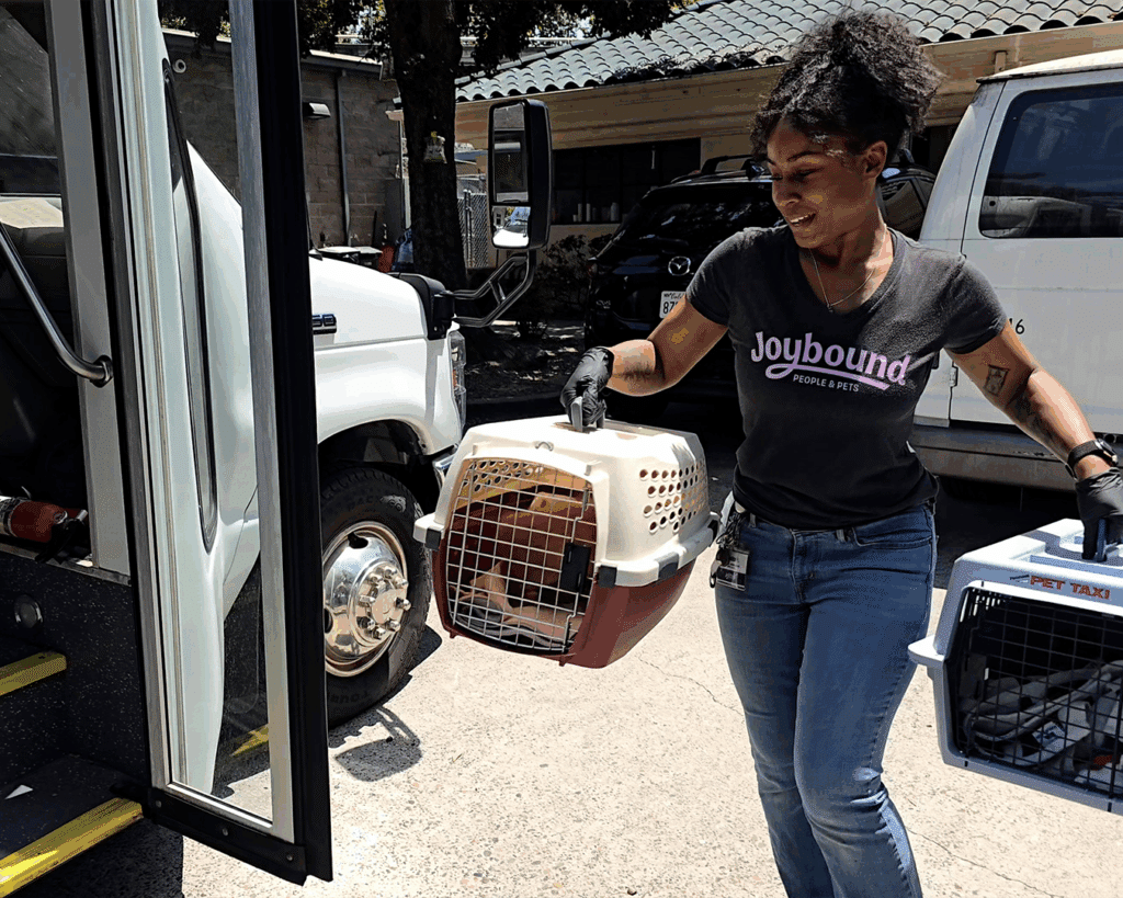 How Does Joybound’s Admissions Process Work? - Joybound People & Pets